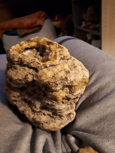 Break Your Own Geodes Unbroken Quartz Crystal Geode with Sparkly ...