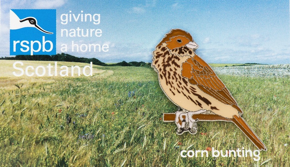 RSPB Pin Badge Scotland Special Corn Bunting P01461 | eBay UK