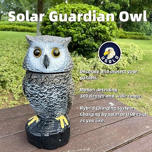 Solar Powered Garden Owl with Detection, Flashing Eyes, Rotating Head ...
