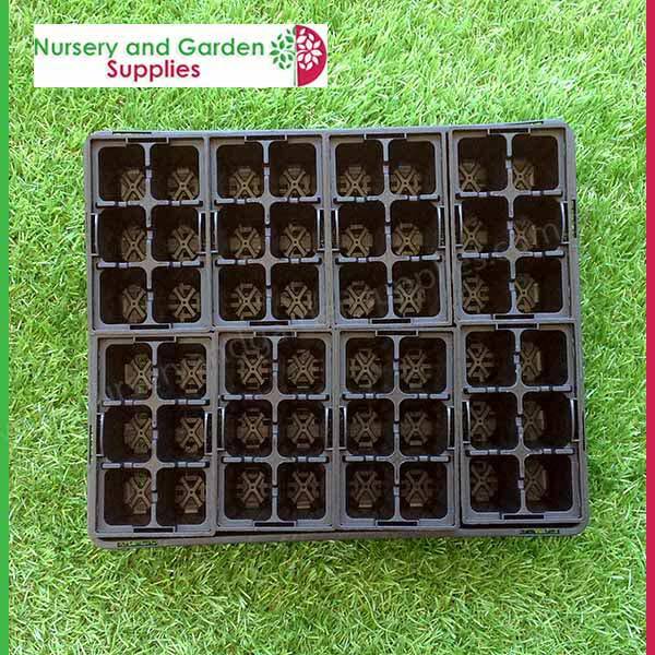 6 cell Seedling Punnet Standard -FULL BOX - (550 punnets) Moulded Thick ...