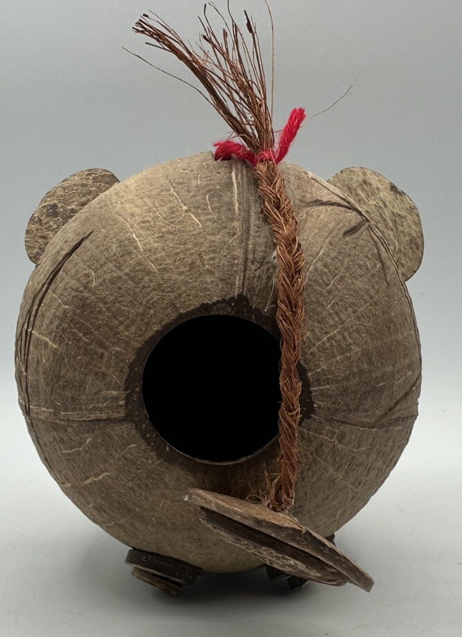 Unique Hand Crafted Coconut Shell Little Pig Coin Piggy Bank | eBay