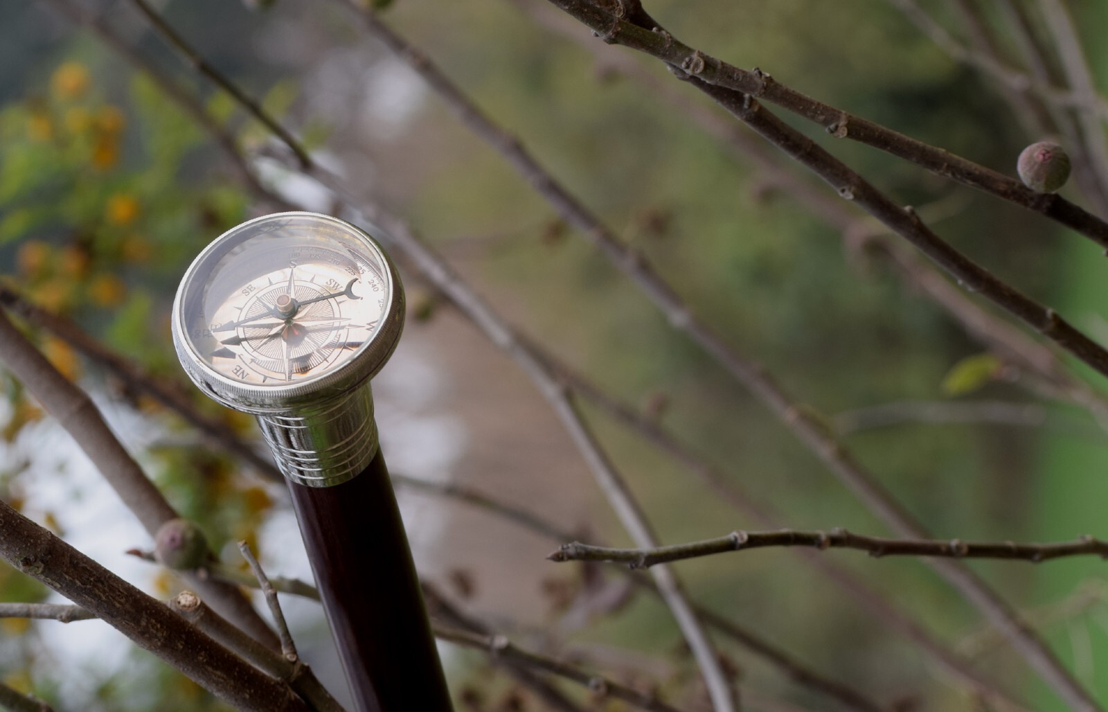 Brass Walking Stick Handmade Walking Stick with Compa… - Gem