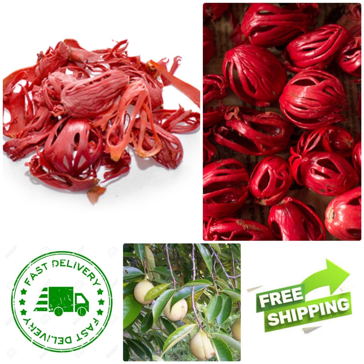 Nutmeg Mace What Is Nutmeg And Mace? | Spice Factors #nutmeg #mace