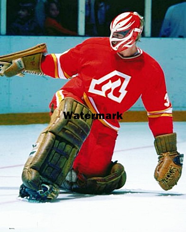 NHL 1970's Atlanta Flames Goalie Dan Bouchard Flame Mask Color 8 X 10 ...