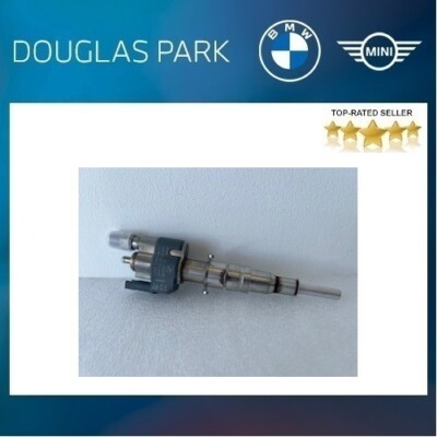 Genuine BMW N43 & N53 Fuel Injector 13537589048 | eBay UK