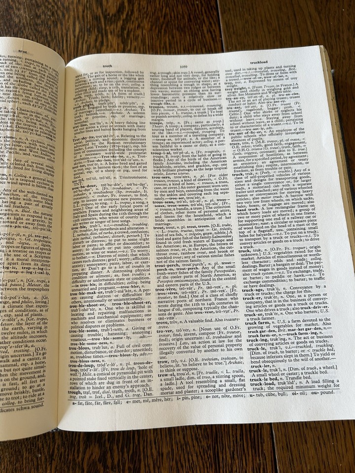 1981 New Webster's Dictionary English Language Deluxe Encyclopedic ...