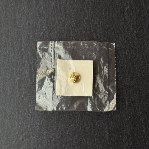 Apple Pins Badge Vintage Computer Rainbow Logo Mac Iphone | eBay