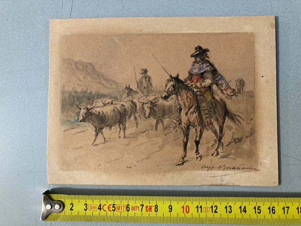 Beautiful Watercolor Drawing Cow Bull Horses Camargue 1900 Identified ...