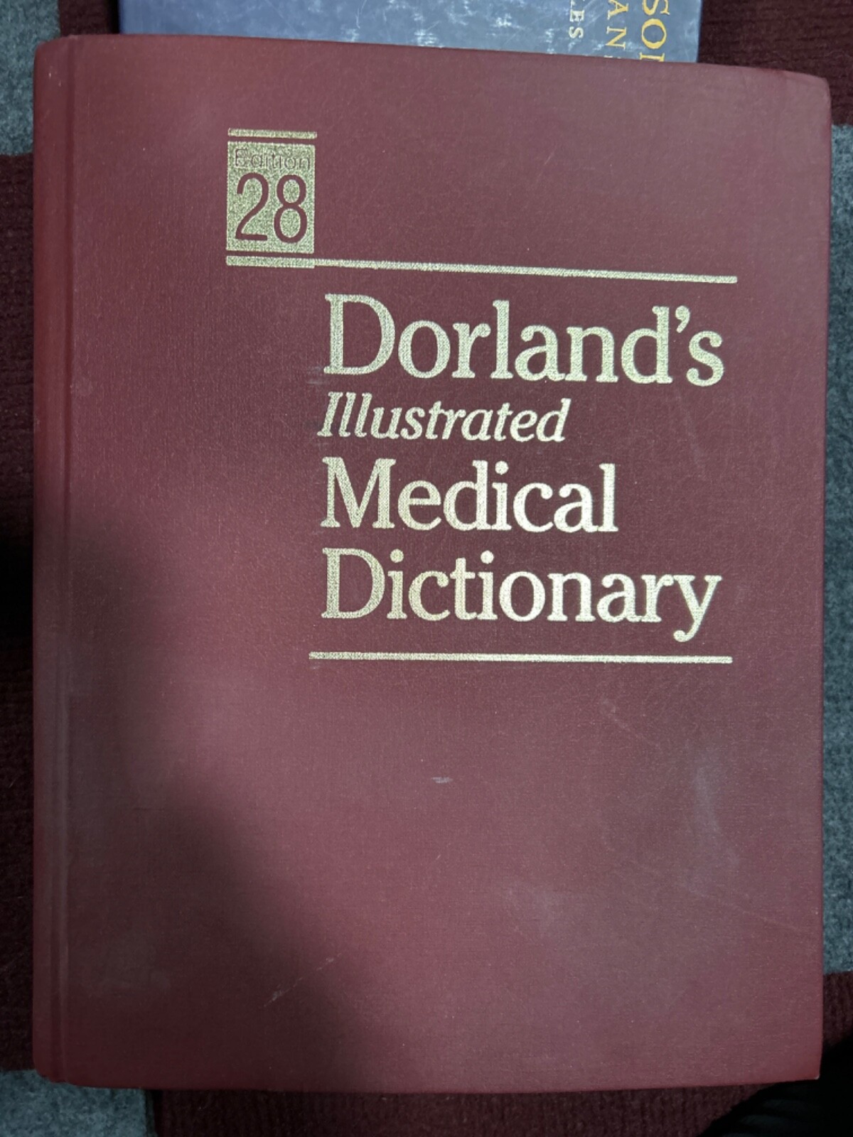 Dorland's Illustrated Medical Dictionary by Newman W. Dorland (1994 ...