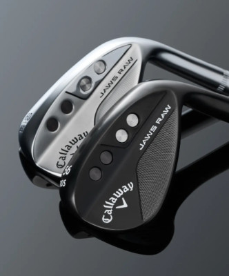 [NEW] 2022 Callaway Jaws Raw Wedge /DG Spinner 115 Steel/ RH/Choose ...
