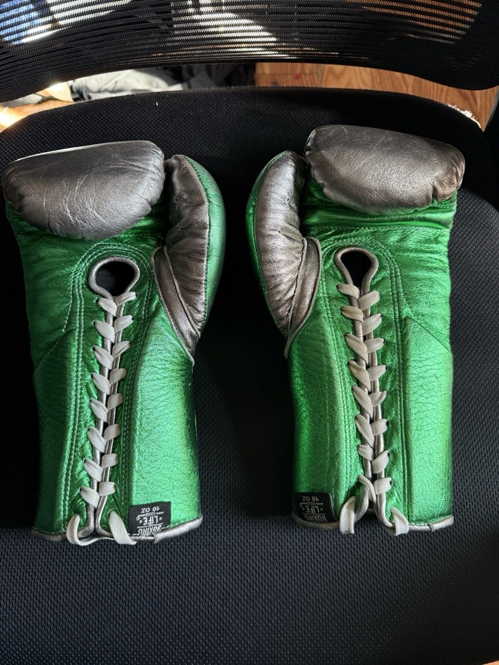 No Boxing No Life Pro Fight Gloves 10oz Canelo (Grant Winning Everlast ...