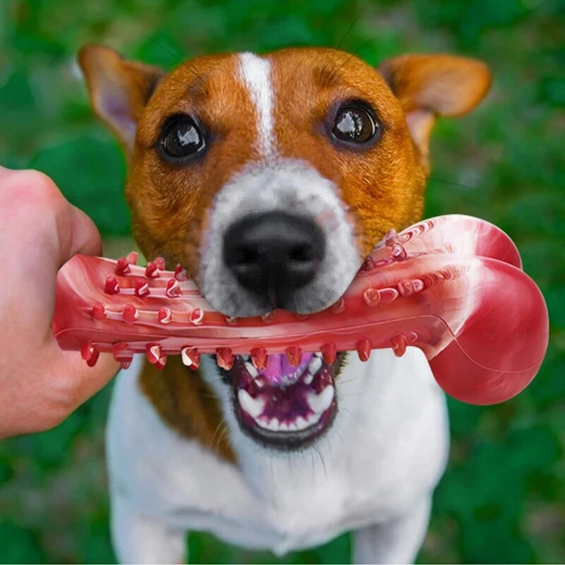 Dog Chew Toys for Aggressive Chewers Large Breed Rubber Dog Bones Teeth ...