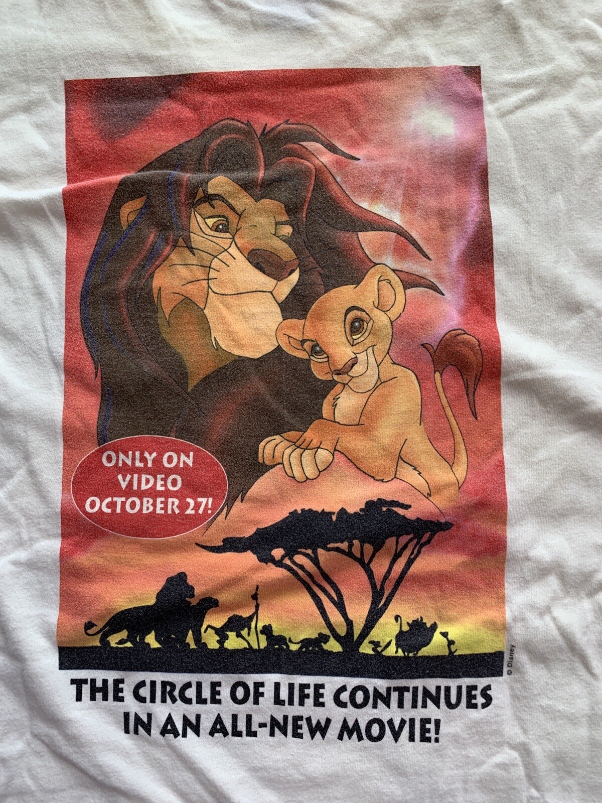 The Lion King II Simba’s Pride Disney Movie Promo Whi… - Gem