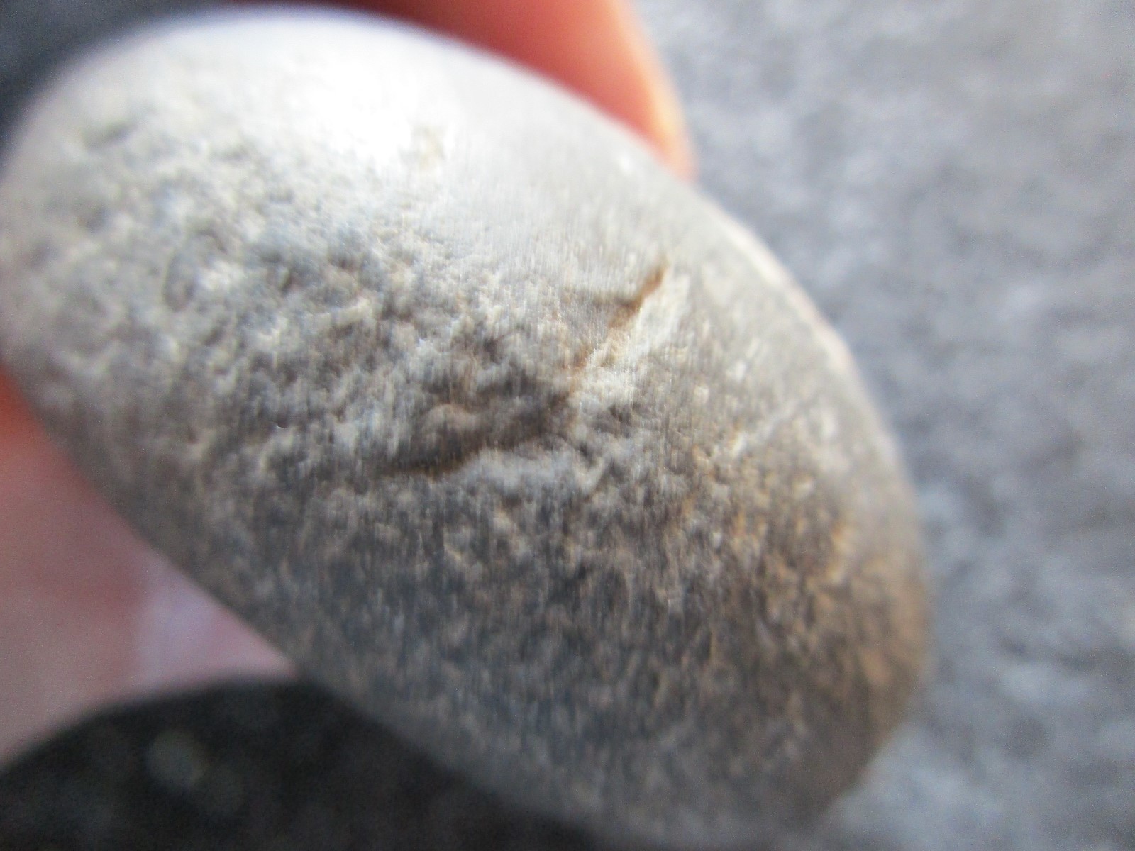 NATIVE AMERICAN DISCOIDAL, AMERICAN INDIAN CHUNKY STONE, GAME STONE, # ...