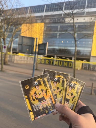 One Piece X BVB Promo Karte Monkey D. Luffy Card ST13-003 | eBay