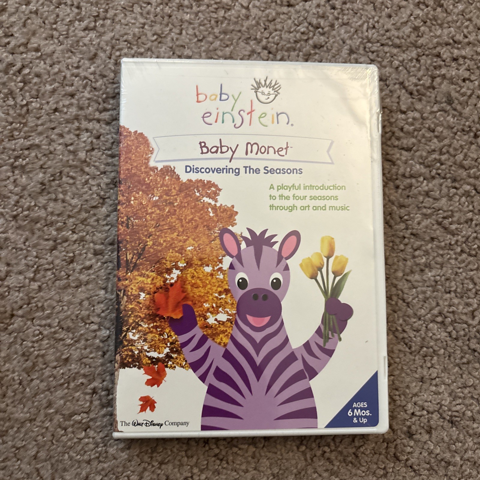 Baby Einstein: Baby Monet - Discovering The Seasons (DVD, 2005) for ...
