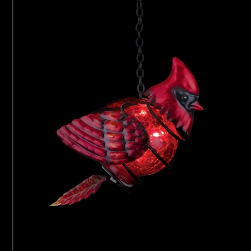 BIRD SOLAR LANTERN CARDINAL REGAL ARTS 12548 GLOWS GARDEN YARD DECOR ...