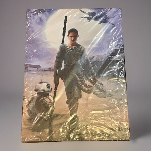 Star Wars The Force Awakens - Ray Framed Art Canvas Poster 18 x 13 | eBay