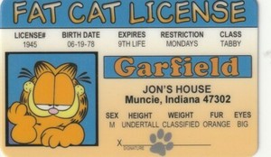 GARFIELD Fat Cat License - plastic ID card Drivers License - | eBay