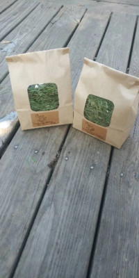 Dried Organic Pine Needle Tea - Dried pine needles for Tea -Suramin Tea ...