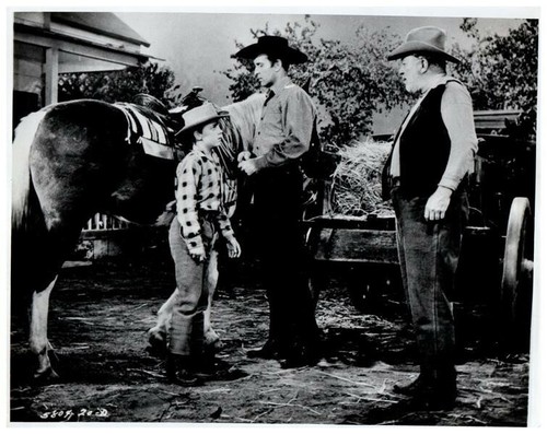 King of the Wild Stallion Jerry Hartleben George Montgomery Original ...