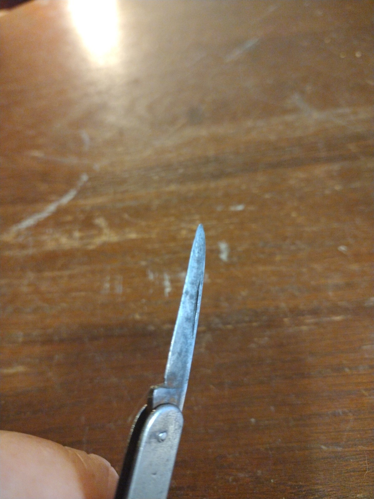 Antique All Metal Two Blade A. Newtons & Sons Germany Pocket Knife | eBay