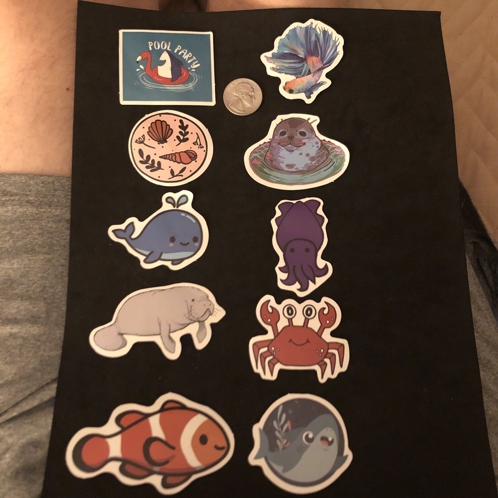 Scrapbook Stickers / Water Bottle Lot of 10 Sea Life Stickers. | eBay