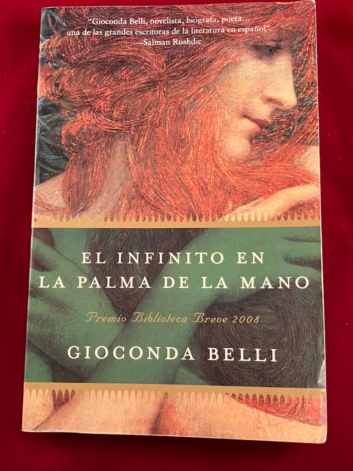 El Infinito en la Palma de la Mano, by Gioconda Belli (2009, PB In ...