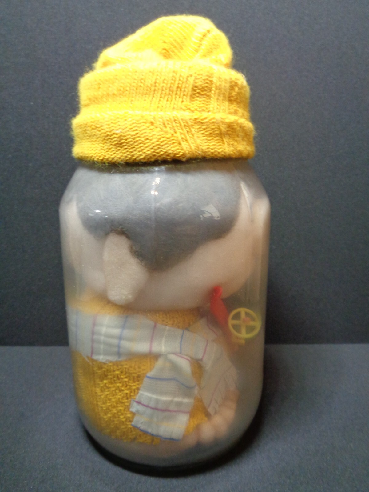 Slope Dope doll in a jar by Renee | eBay