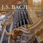 BACH / STEFANO - COMPLETE ORGAN MUSIC 2 (BOXED SET) NEW CD | eBay
