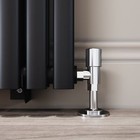 Vertical Radiator Double Black Oval Column Modern Tall Upright Rads ...