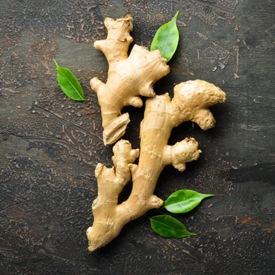 25+ Ready To Plant zingiber plant Roots Fresh Sprouted Ginger live ...