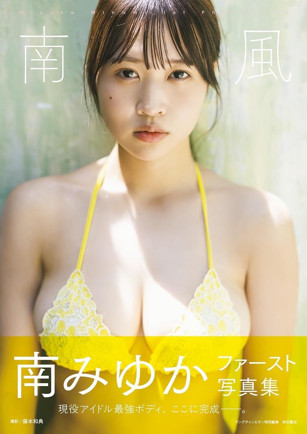 Minami Miyuka First Photo Album South Wind Japanese Gravure Idol New w/ Tracking | eBay