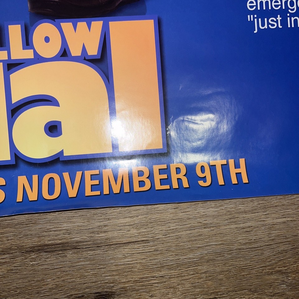 vintage 2001 Shallow Hal original comedy movie poster Jack Black 6602 ...