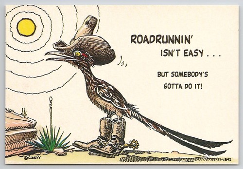 Arizona Roadrunnin Isn't Easy Bird In Hat & Boots Artist Ed Cleary ...