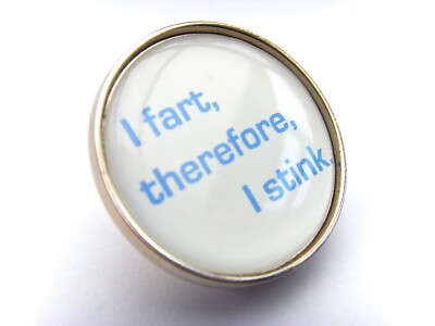 I FART, THEREFORE, I STINK PIN BADGE HUMOUR JOKE FUN NOVELTY GIFT ...