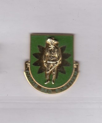 304th MILITARY POLICE BATTALION MP crest DUI badge c/b P-23 | eBay