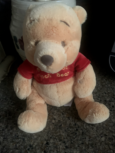 Walt Disney Baby WINNIE "BABY'S 1st POOH BEAR" RATTLE 10" Stuffed ...