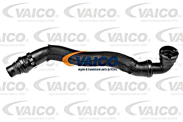 Lower Radiator Hose 8C3Z-8286-B | eBay