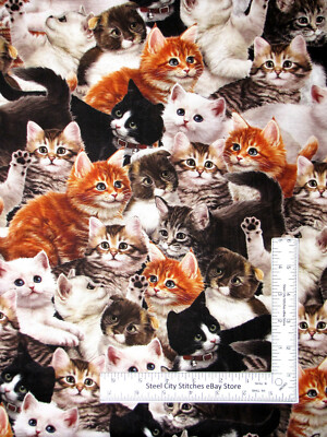 Cat Animal Fabric Kitten Cats Feline Literary Kitties Cotton QT By The ...