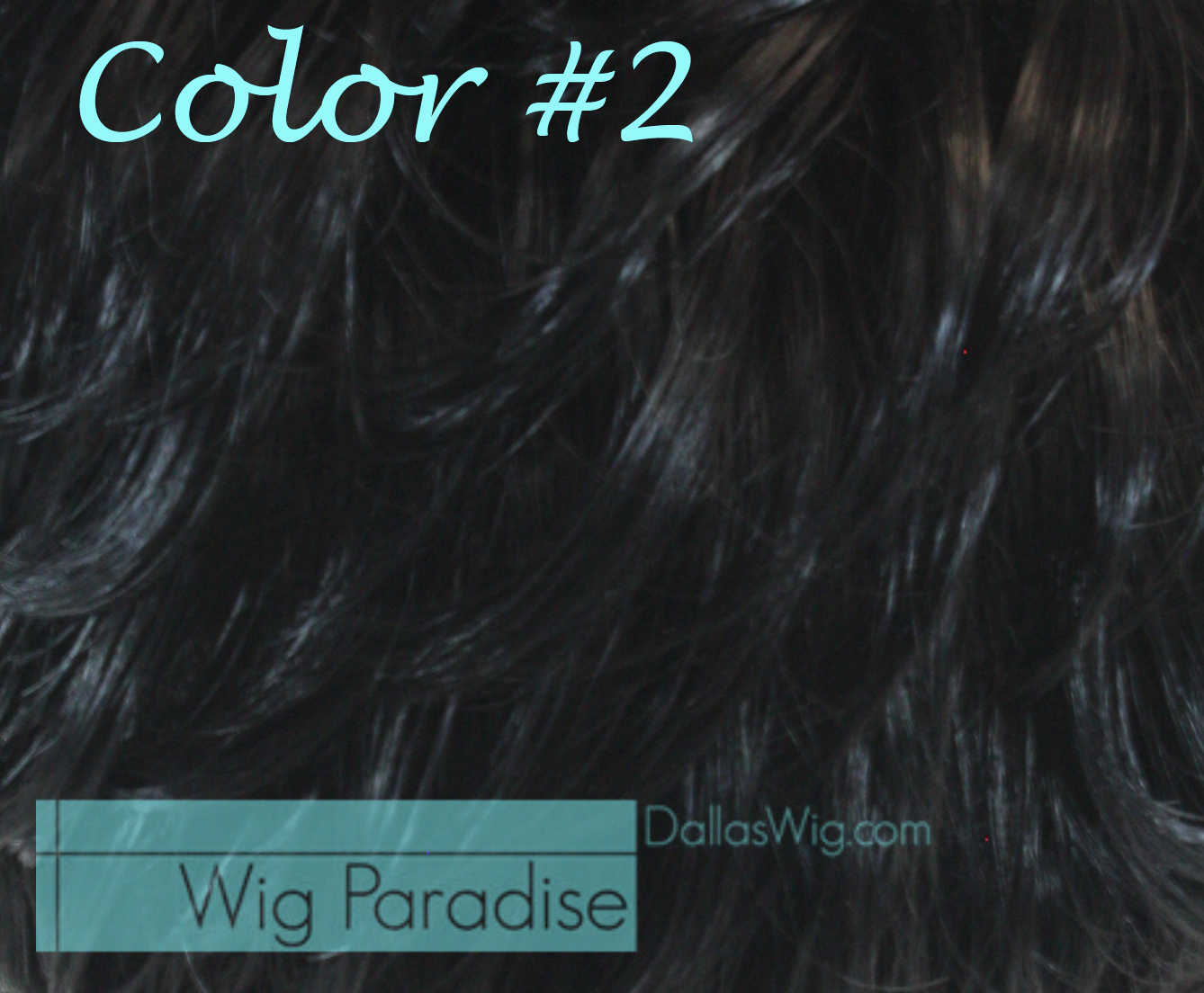 Junee Fashion Manhattan Style Synthetic Full Curly Wavy Style Navi Wig ...