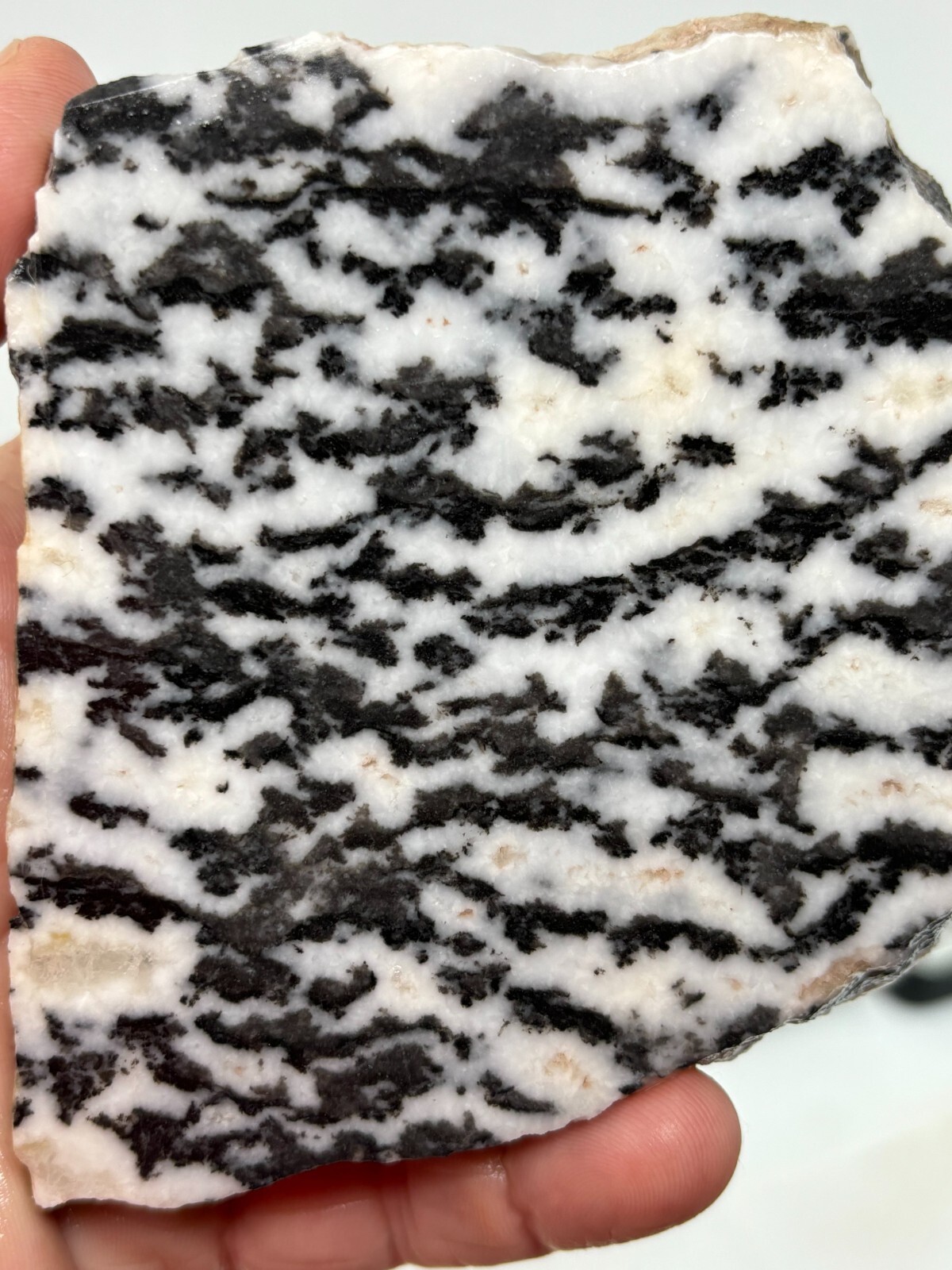 Zebra stone aka Zebra Marble Slab Cabbing Lapidary Carving Reiki Chakra ...