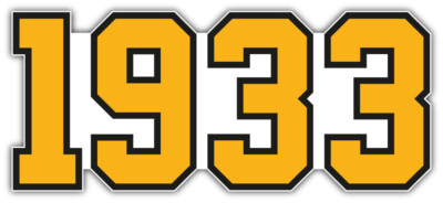 Pittsburgh Steelers NFL Sport 1993 Car Bumper Sticker Decal ''SIZES ...