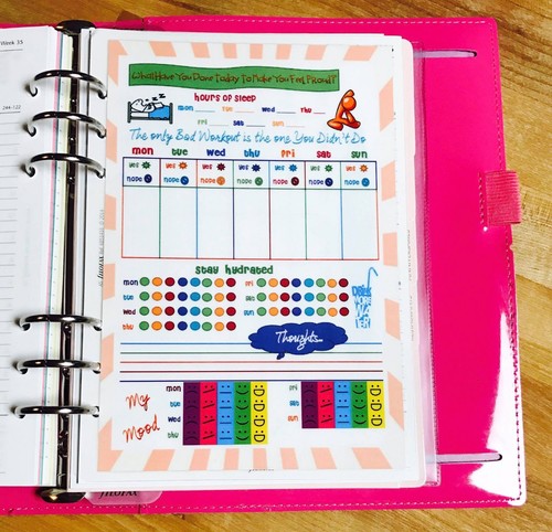 Fitness Two Sided Dashboard for use with Filofax A5- | eBay