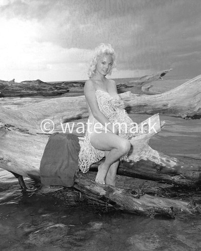 MODEL LISA WINTERS PIN UP - 8X10 PUBLICITY PHOTO | eBay