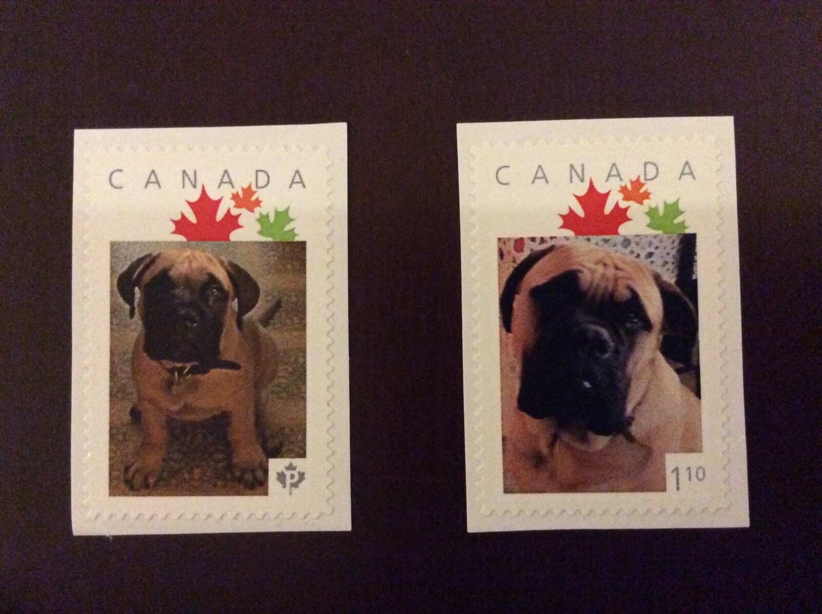 Canada Picture Postage Stamp -Personalized Stamp Set of 2 Bulldogs “P ...