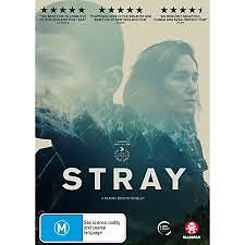 Stray (Dvd,2019) | eBay Australia
