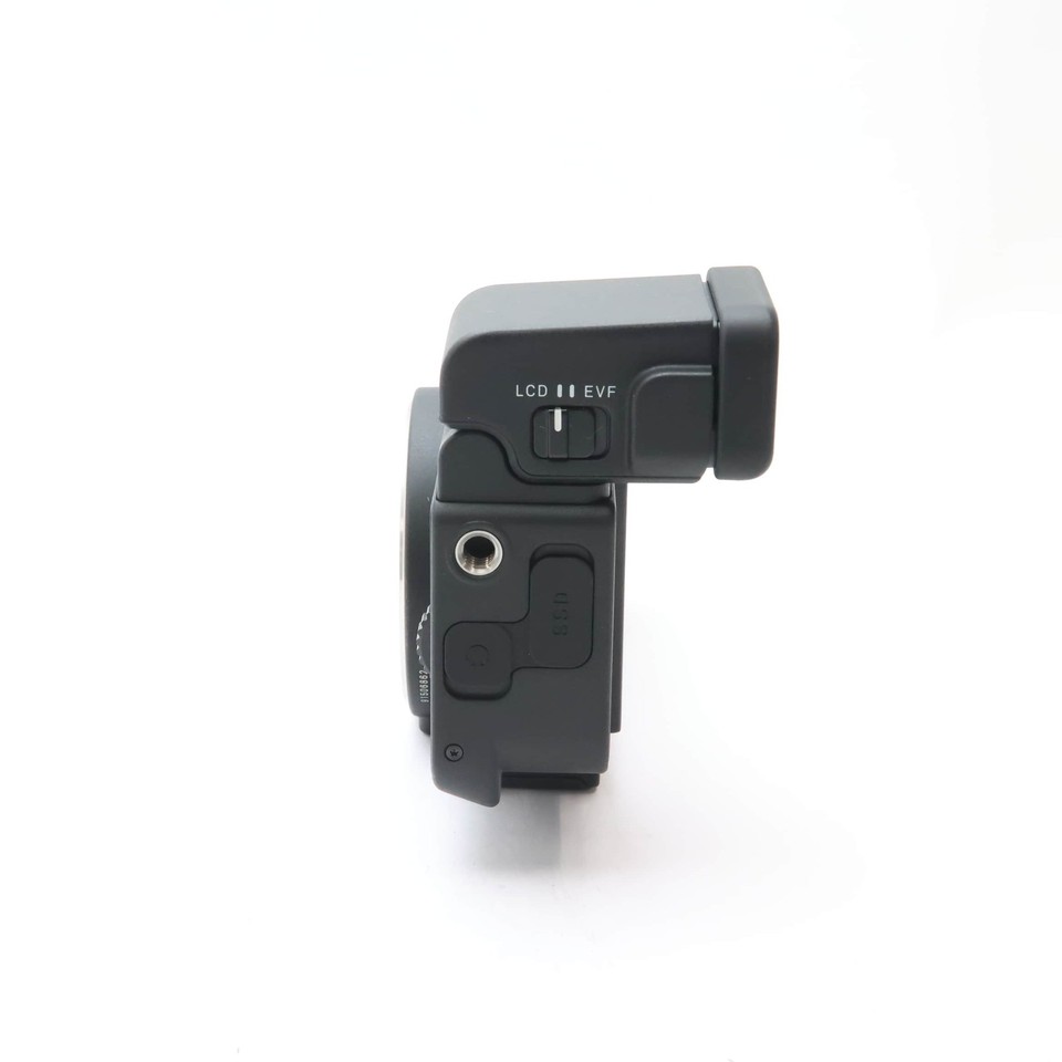SIGMA fp L + EVF-11 Mirrorless Digital Camera Body -Near Mint- #315 ...