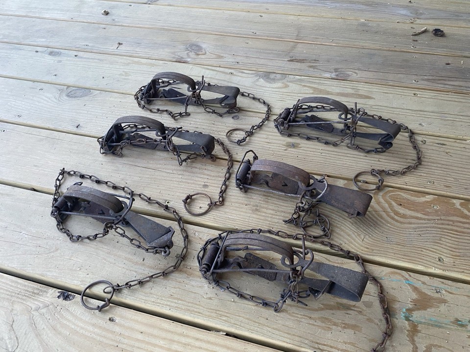 (6) Victor No. 1 RECTANGLE PAN Long Spring STOPLOSS Guard Traps ...