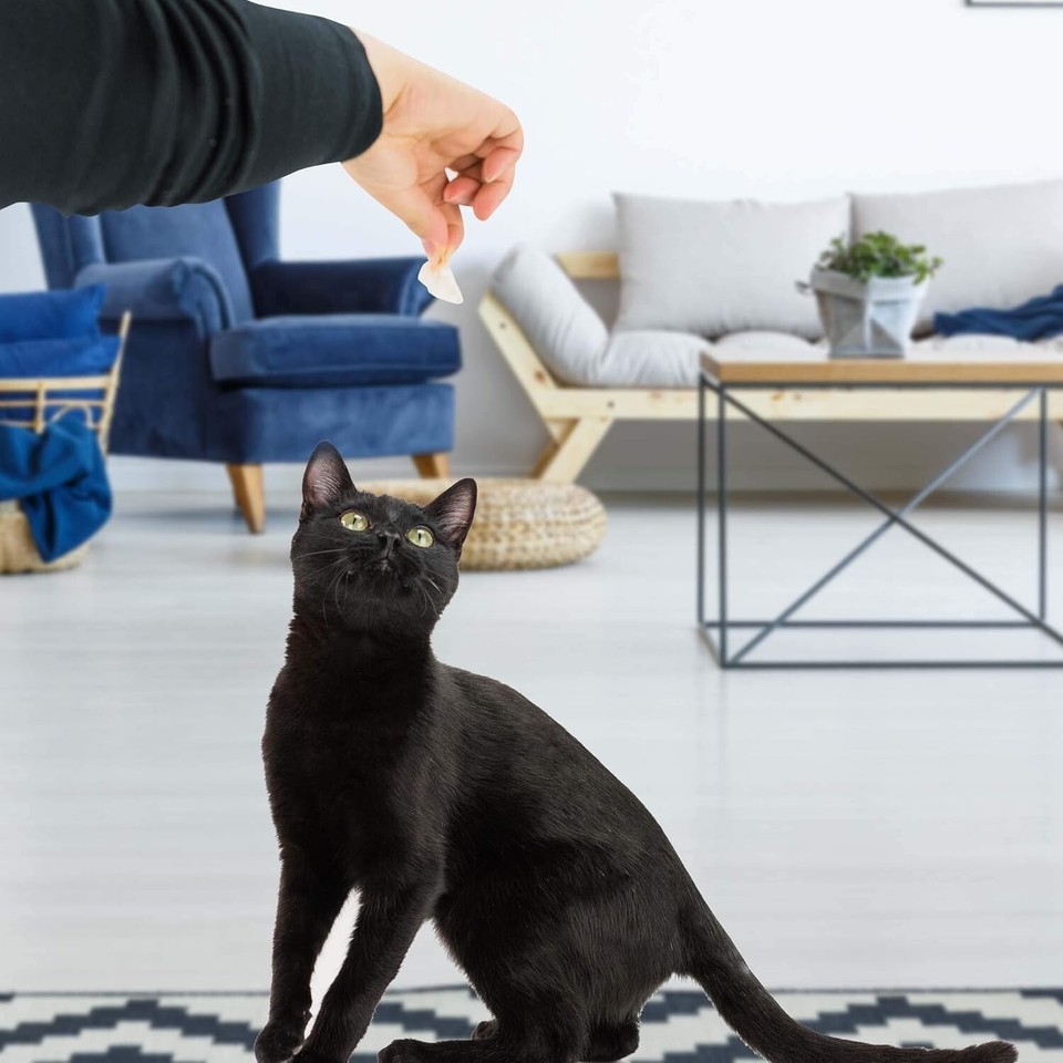 Irresistible Extra Large Dried Bonito Flakes - 4oz High Protein Treat ...